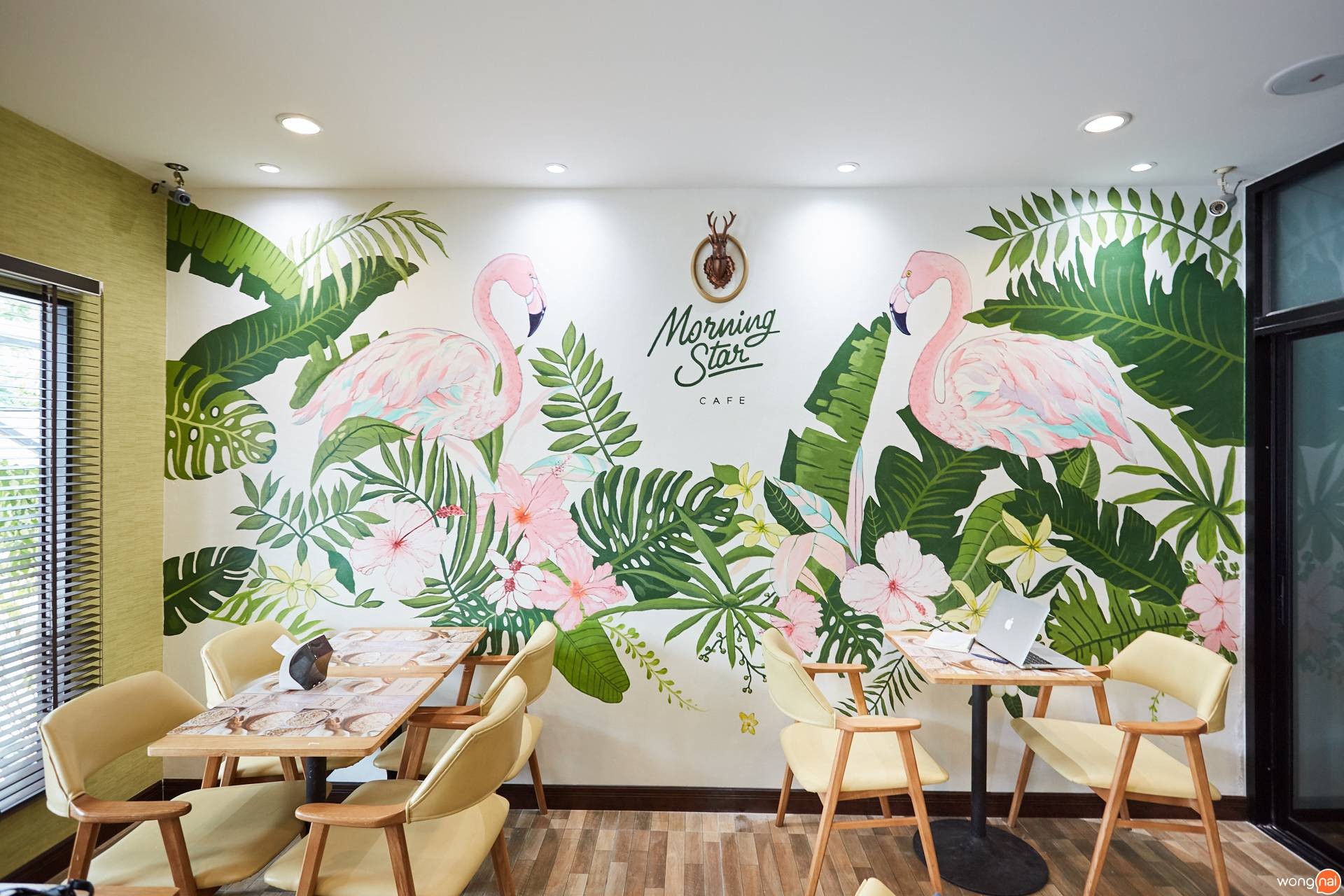 ร้าน Morning Star Cafe | รีวิวร้านอาหาร - Wongnai
