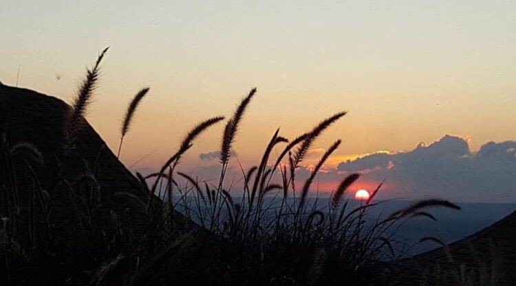 รีวิว At Tree Resort & Restaurant - Weekend check in At tree resort khaokho