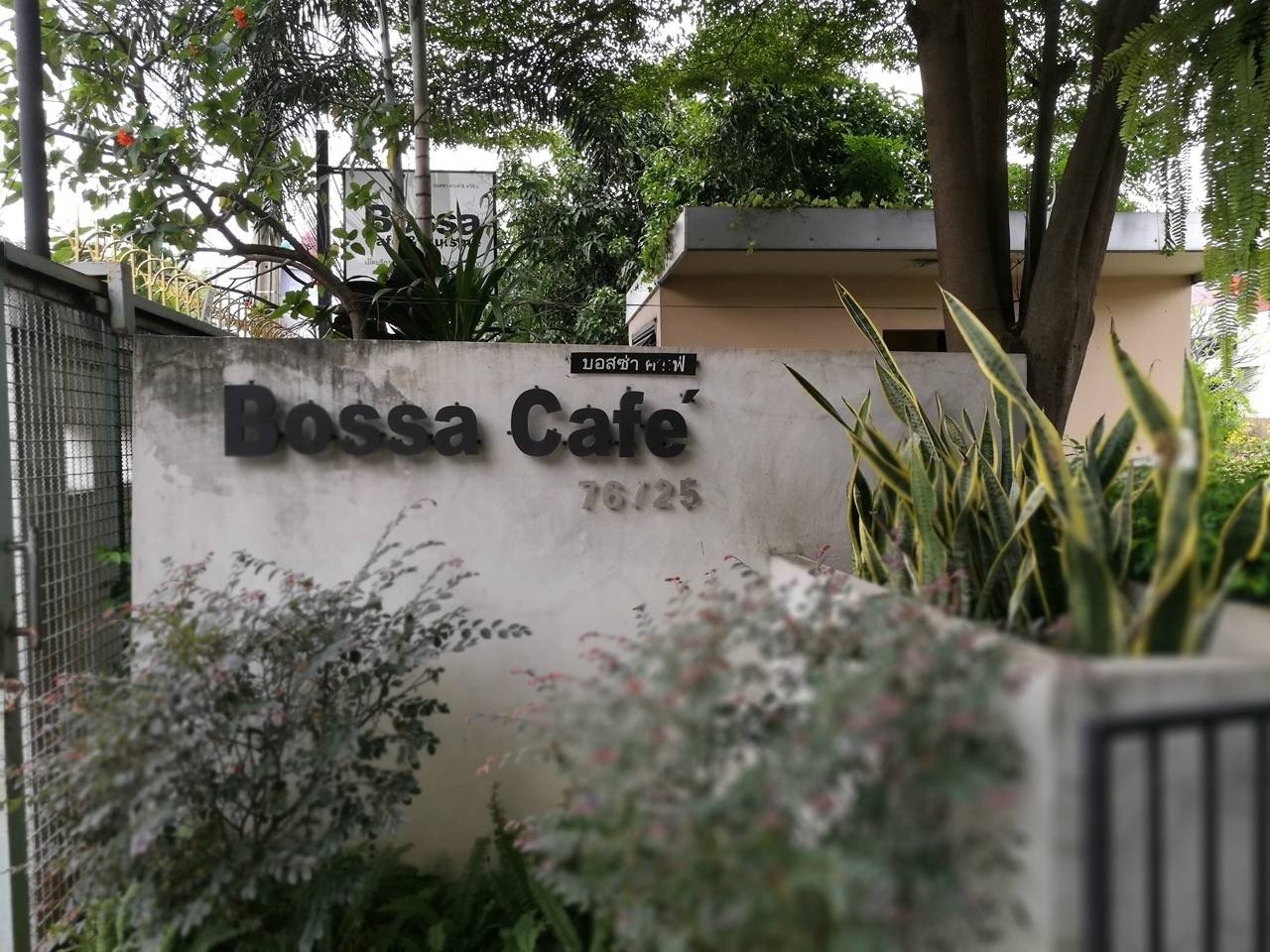 รูป Bossa Café - Wongnai
