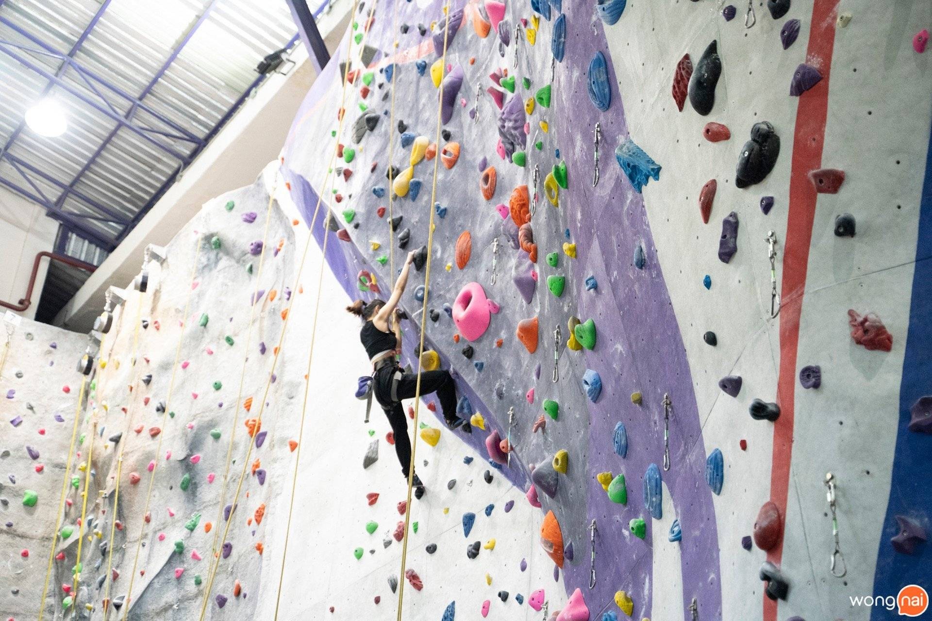 ร้าน THE RACQUET CLUB (สโมสรกีฬาเดอะแร็กเก็ตคลับ)