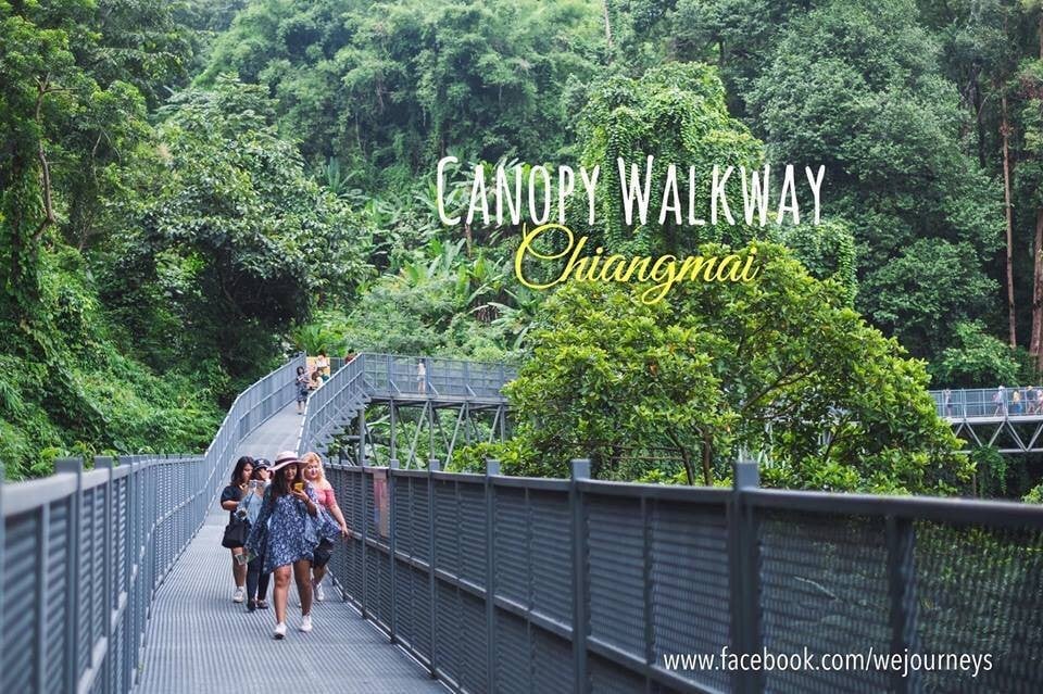 รีวิว สวนพฤกษศาสตร์สมเด็จพระนางเจ้าสิริกิติ์ - Canopy Walkway (สวน ...