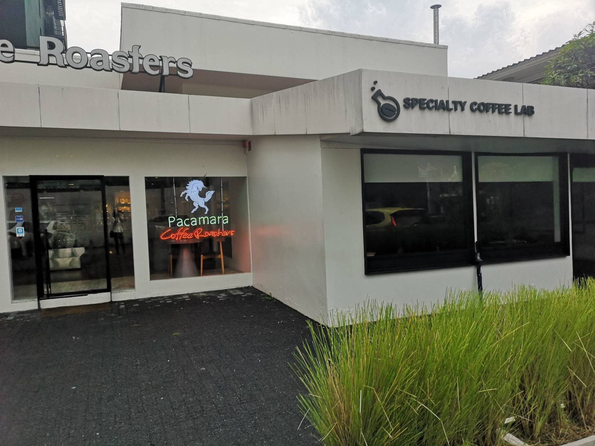 รีวิว PACAMARA Thonglor 25 - ร้านกาแฟชิคๆที่ทองหล่อ นั่งทำงานชั้นบนได้สบาย