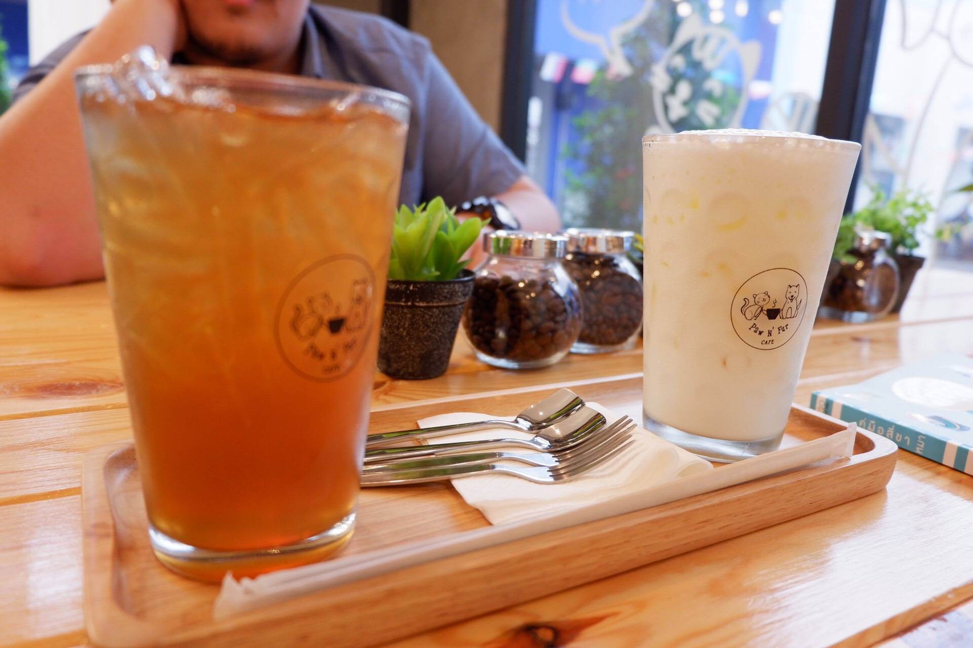 รีวิว Paw N' Fur CAFE - แนะนำเลยค่ะ คาเฟ่แมวน่ารักๆ ที่ไมอามี่บางปู ...