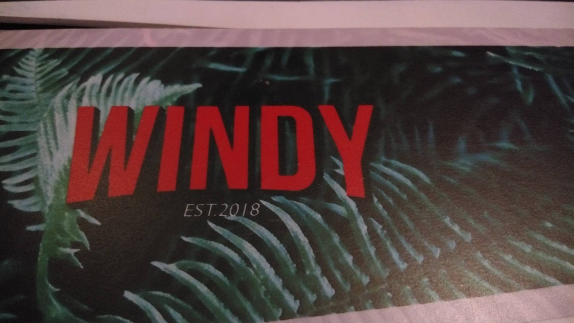 รีวิว Windy Bar & Restaurant - อาหารอร่อย เพลงเพราะ บรรยากาศดี