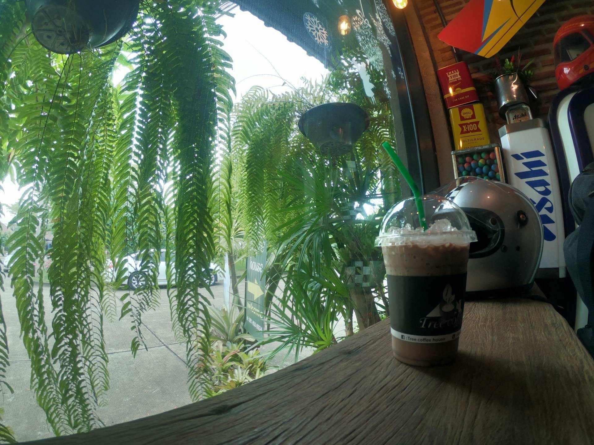 รีวิว Tree Coffee House - บรรยากาศดีร่มรื่น