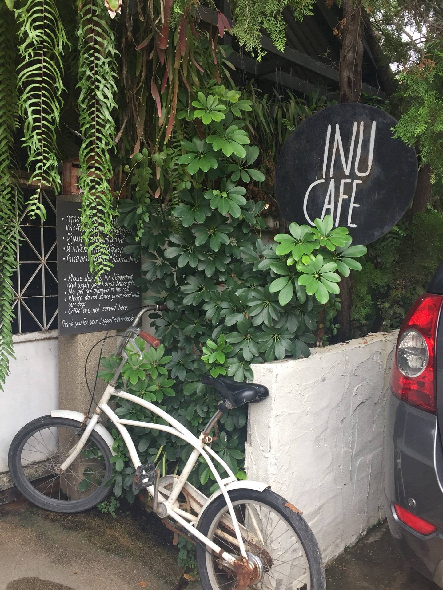 รีวิว Inu Cafe Huahin - ร้านเล็กๆ บรรยากาศสบายๆ มีน้องหมาชิบะมาต้อนรับ