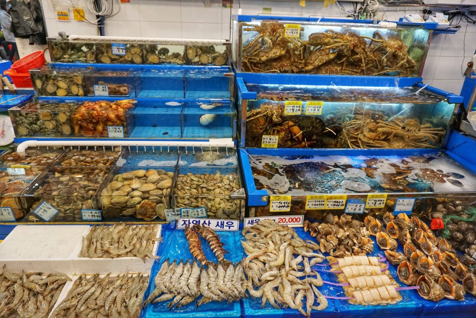 รูป Noryangjin Fish Market - Wongnai