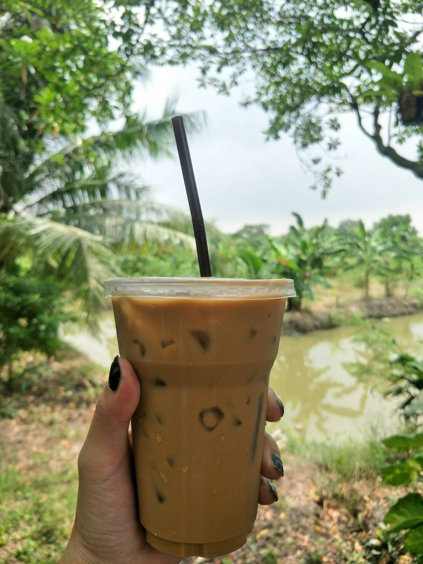 รีวิว Secret Coffee - ร้านกาแฟในสวน "Secret Coffee" หน้าสวนศรีนครเขื่อน ...