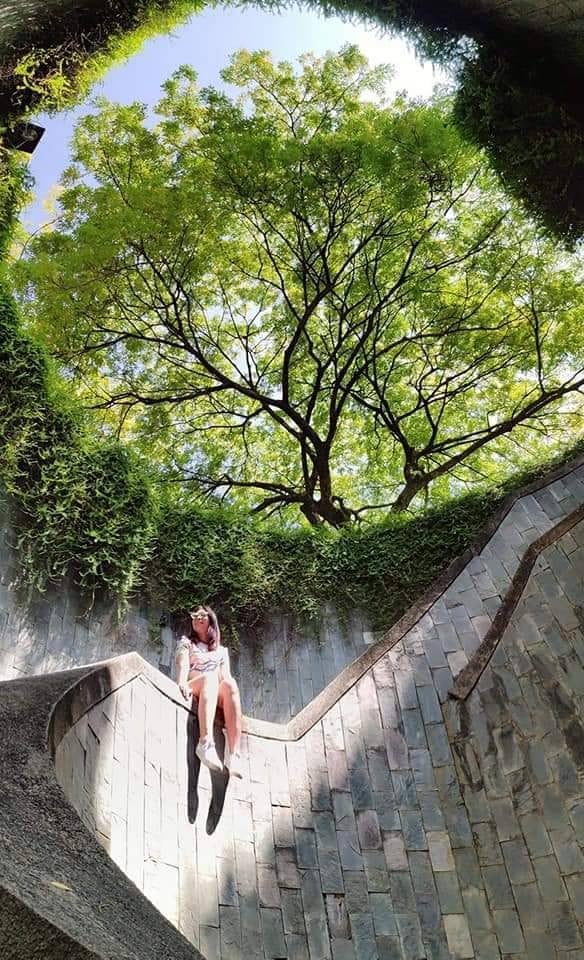 รีวิว Fort Canning Park - Spiral Trees อุโมงค์ต้นไม้ใจกลางเมือง