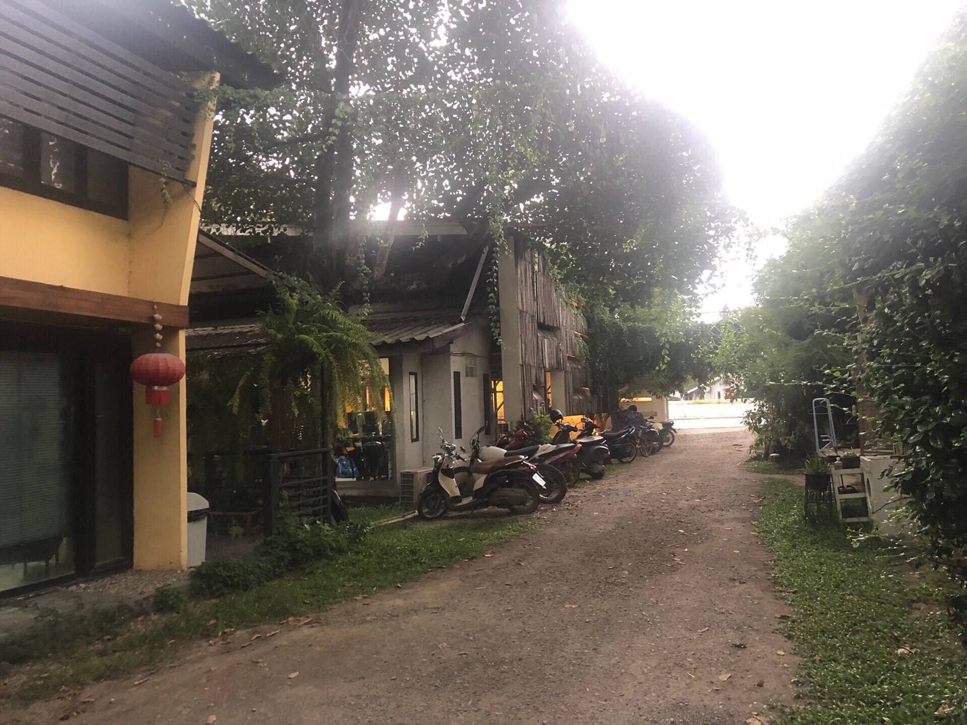 รีวิว Penguin Ghetto Chiang mai - เครื่องดื่มรสชาติดี ขนมอร่อย บรรยากาศ ...