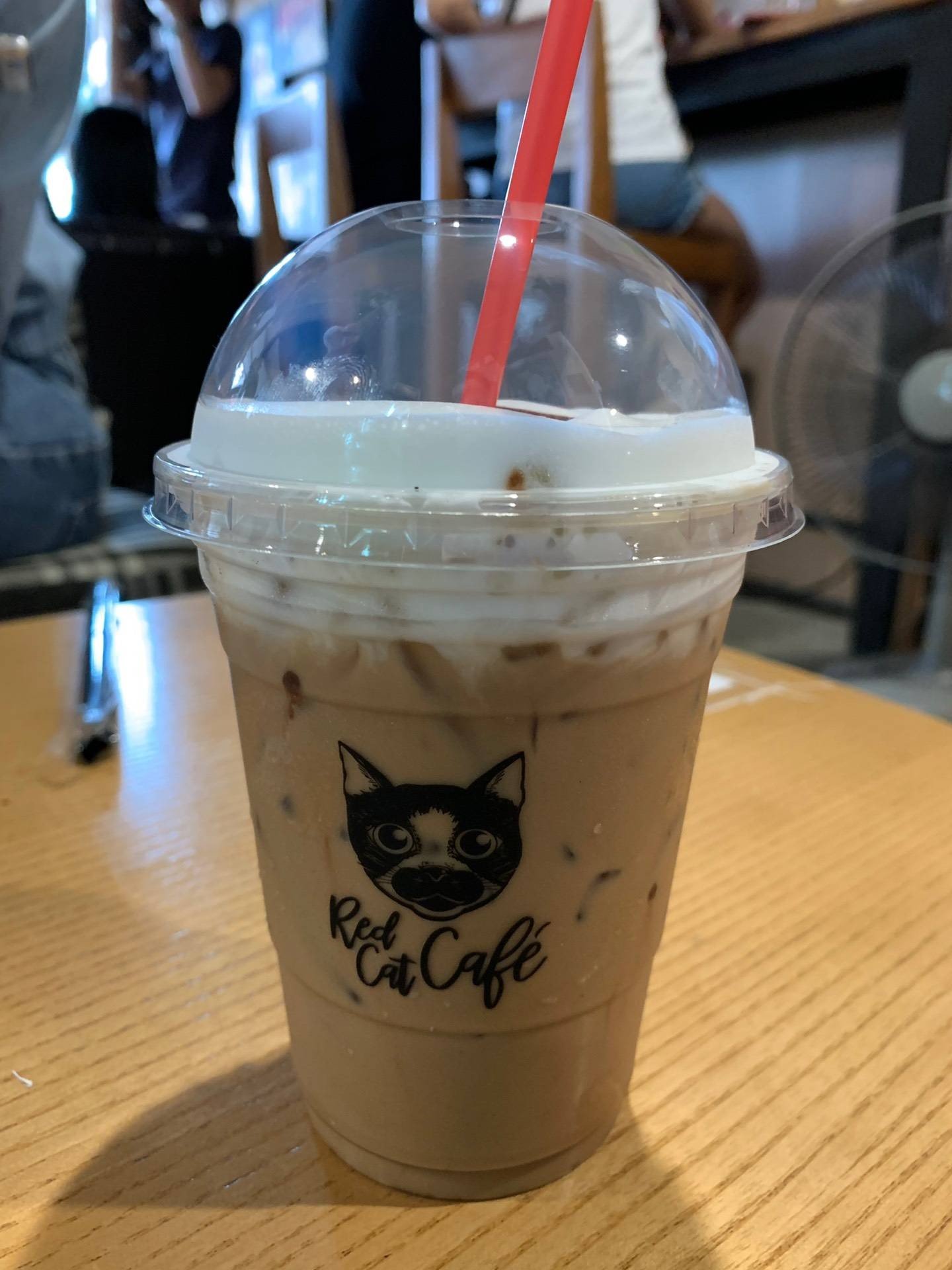 รีวิว Red Cat Cafe ฉะเชิงเทรา - ร้านกาแฟธีมแมวริมแม่น้ำ