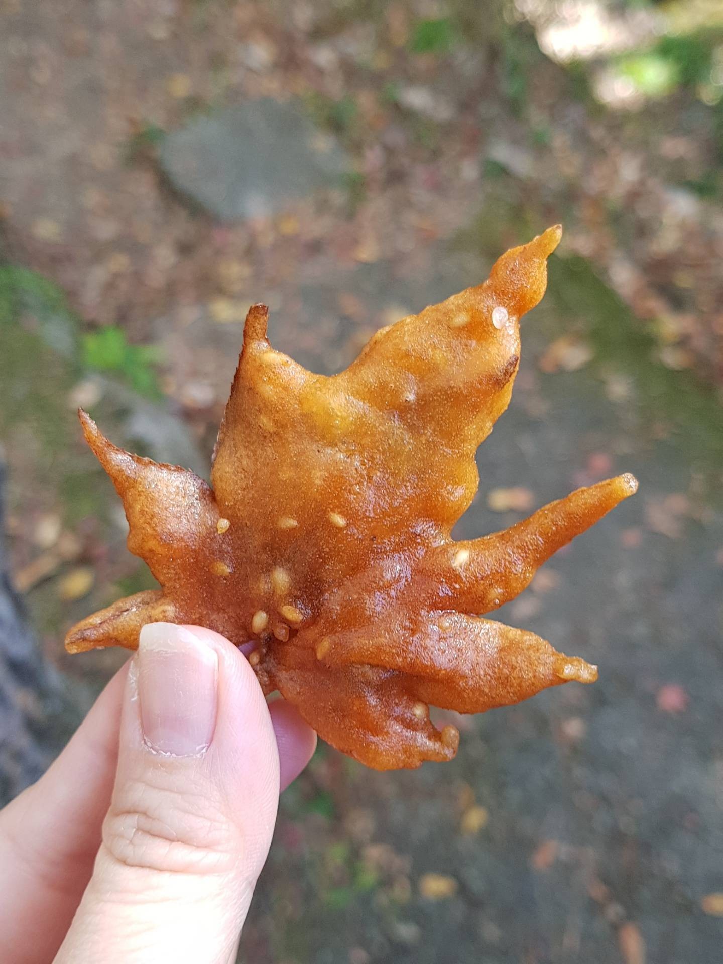 ร้าน Maple Leaf Tempura Minoo Park | รีวิวร้านอาหาร