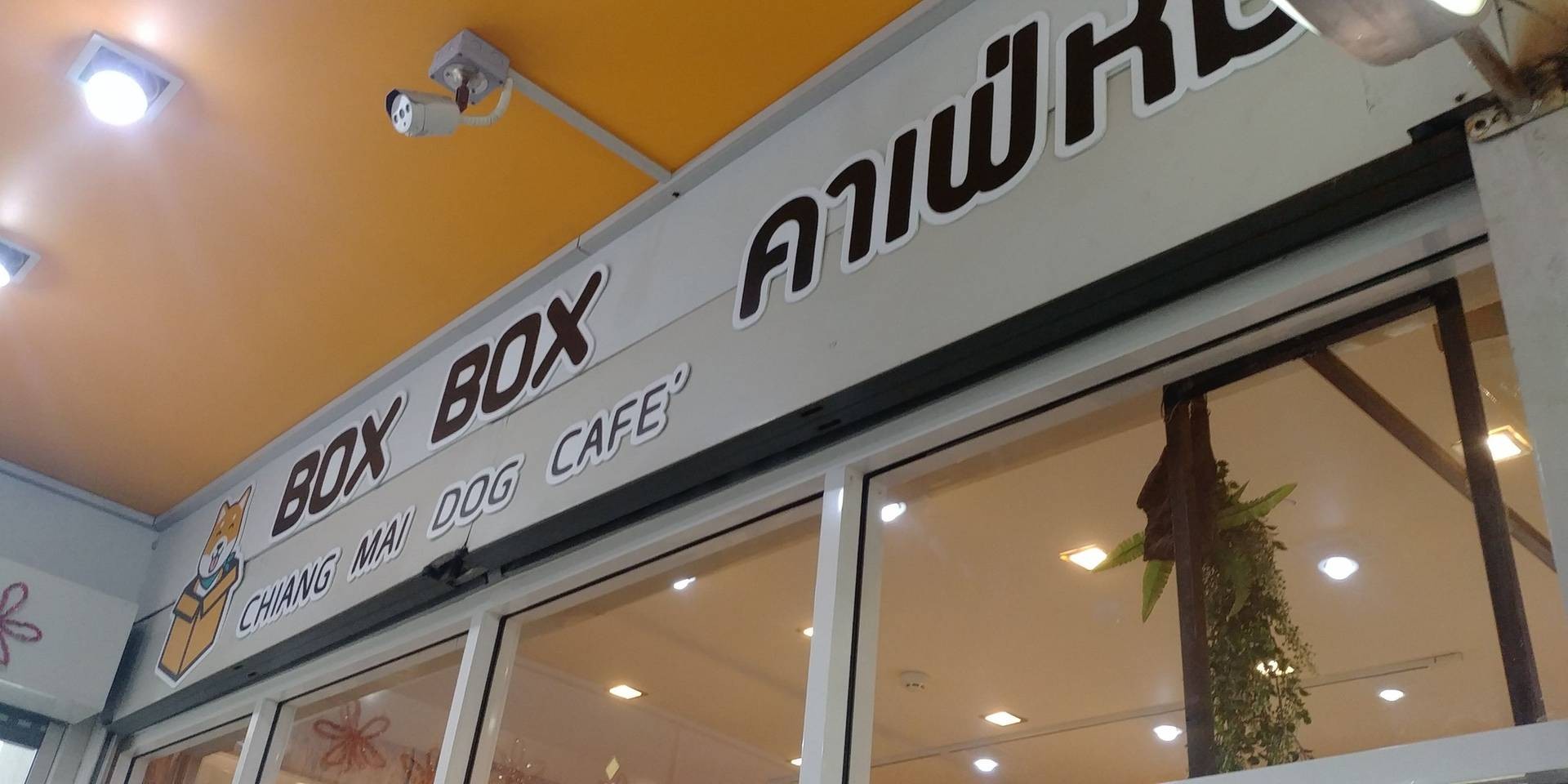 รีวิว Box Box Cafe นิมมาน 11 - ร้านน่ารัก สะอาด ดูเป็นครอบครัว อบอุ่นมาก