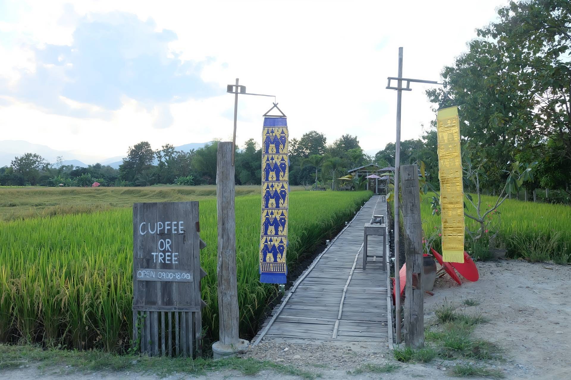 รีวิว Cupfee Or Tree - ร้านกาแฟวิวทุ่งนา - Wongnai