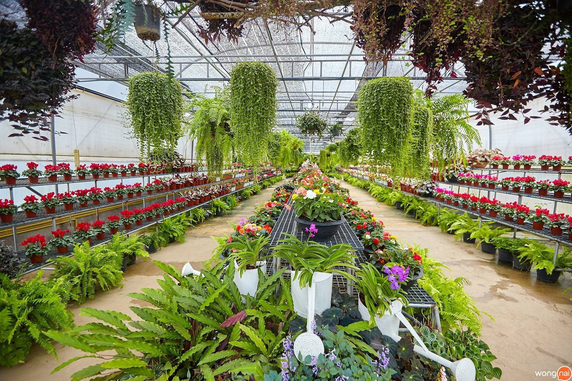 Flora Park - รีวิวสถานที่ท่องเที่ยว