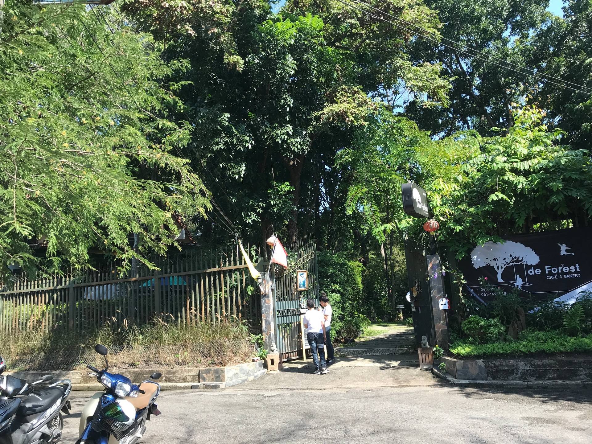 รีวิว DeForrest café & bakery - - ร้านกว้างขวาง บรรยากาศดี