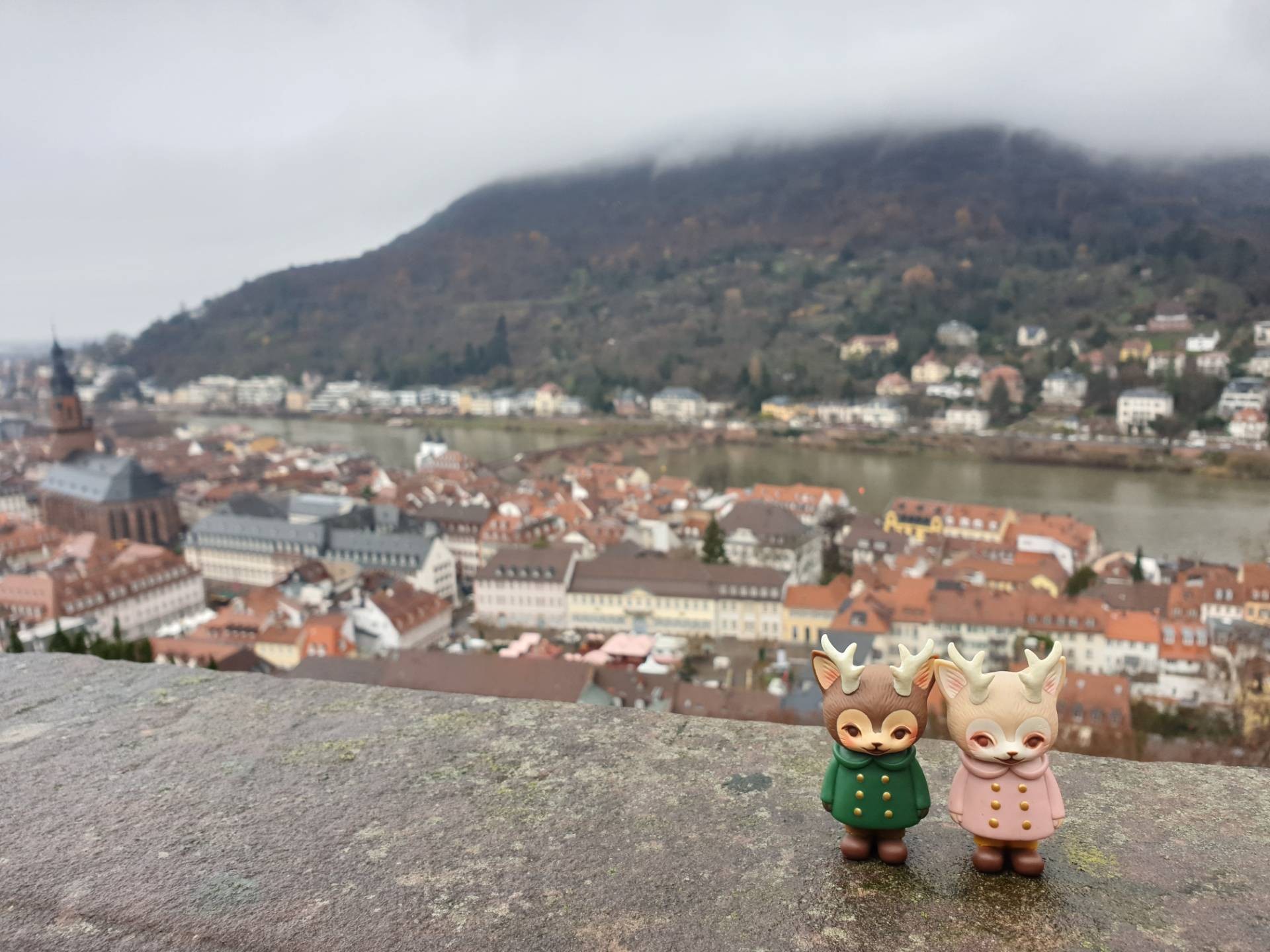 Heidelburg Castle - รีวิวสถานที่ท่องเที่ยว