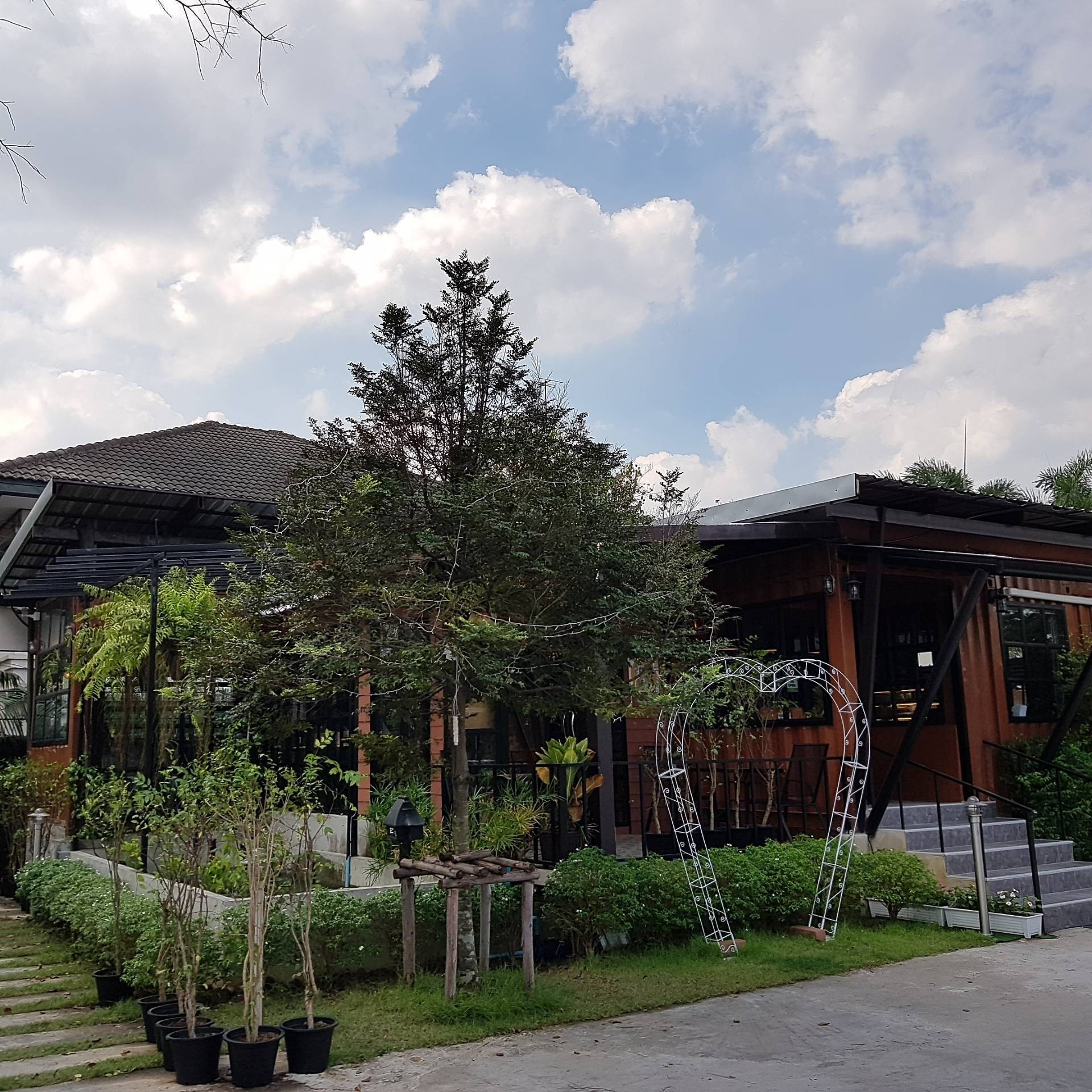 รีวิว High Trees Cafe & Bistro - ร้านนั่งสบาย มีชากาแฟพร้อม