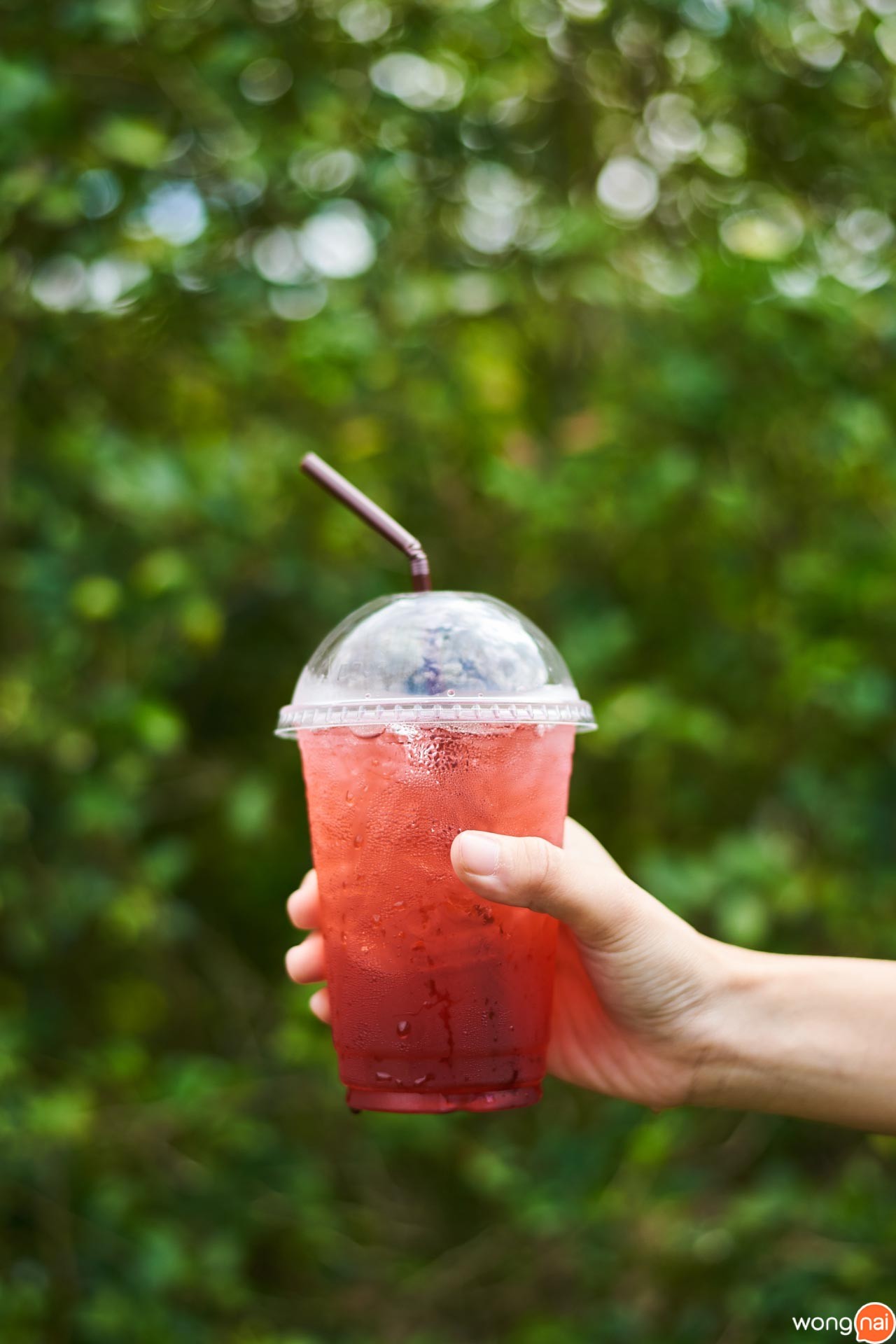 “Pete Maze” ที่เที่ยวเขาใหญ่ สไตล์เขาวงกต ยิ่งหลง ยิ่งสนุก!