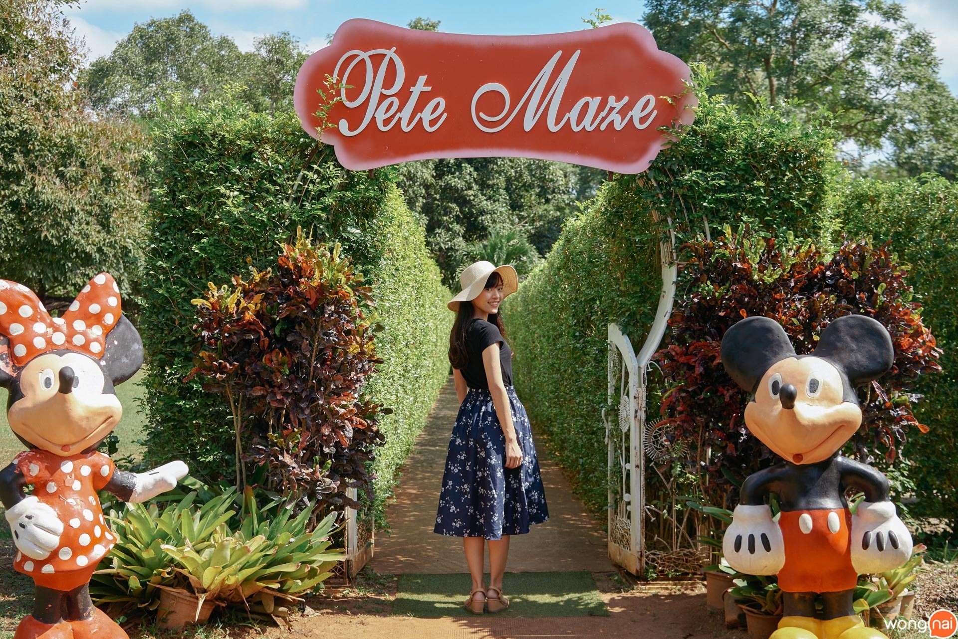 “Pete Maze” ที่เที่ยวเขาใหญ่ สไตล์เขาวงกต ยิ่งหลง ยิ่งสนุก!