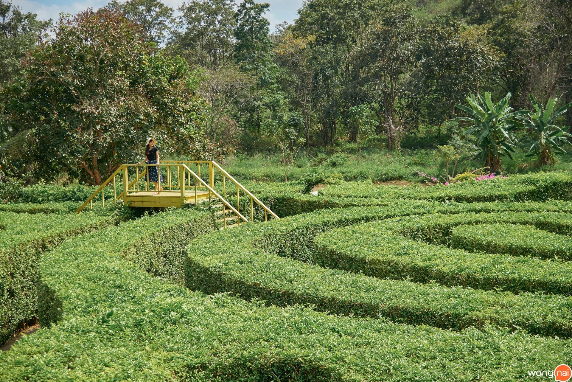 “Pete Maze” ที่เที่ยวเขาใหญ่ สไตล์เขาวงกต ยิ่งหลง ยิ่งสนุก!