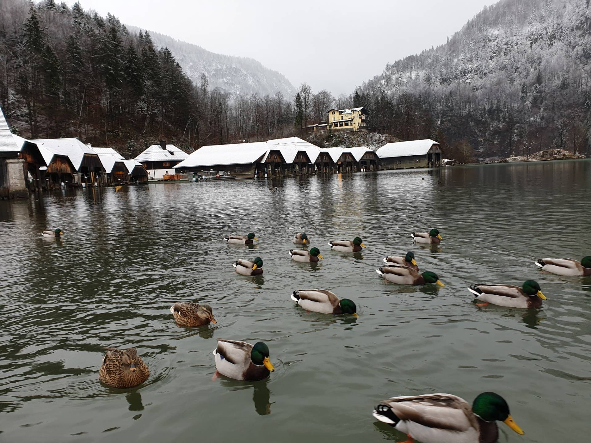 Lake Konigssee - รีวิวสถานที่ท่องเที่ยว - Wongnai
