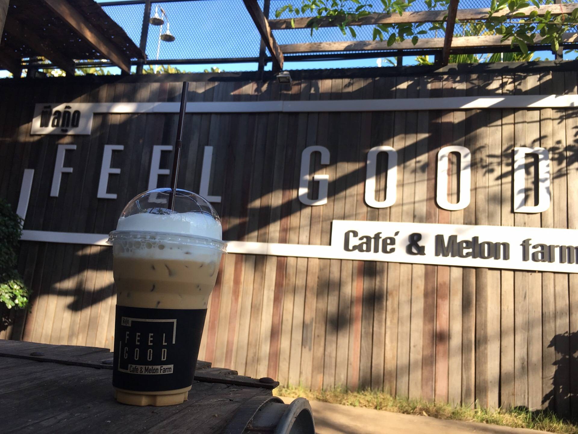 รีวิว Feel Good Cafe & Melon Farm - ร้านกาแฟริมทางน่ารัก☕️ - Wongnai