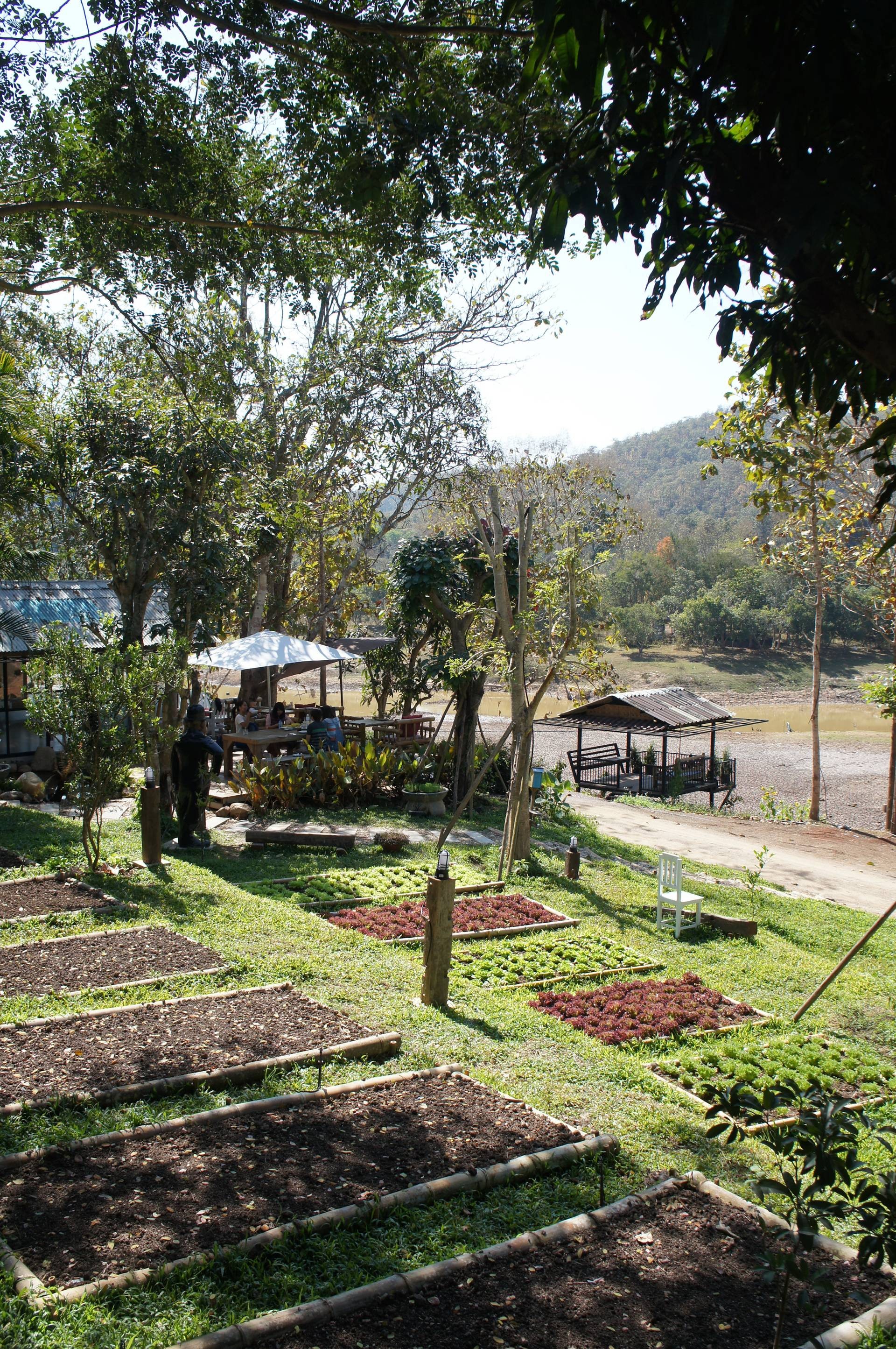 Monkey Farm Organic Thailand - รีวิวสถานที่ท่องเที่ยว