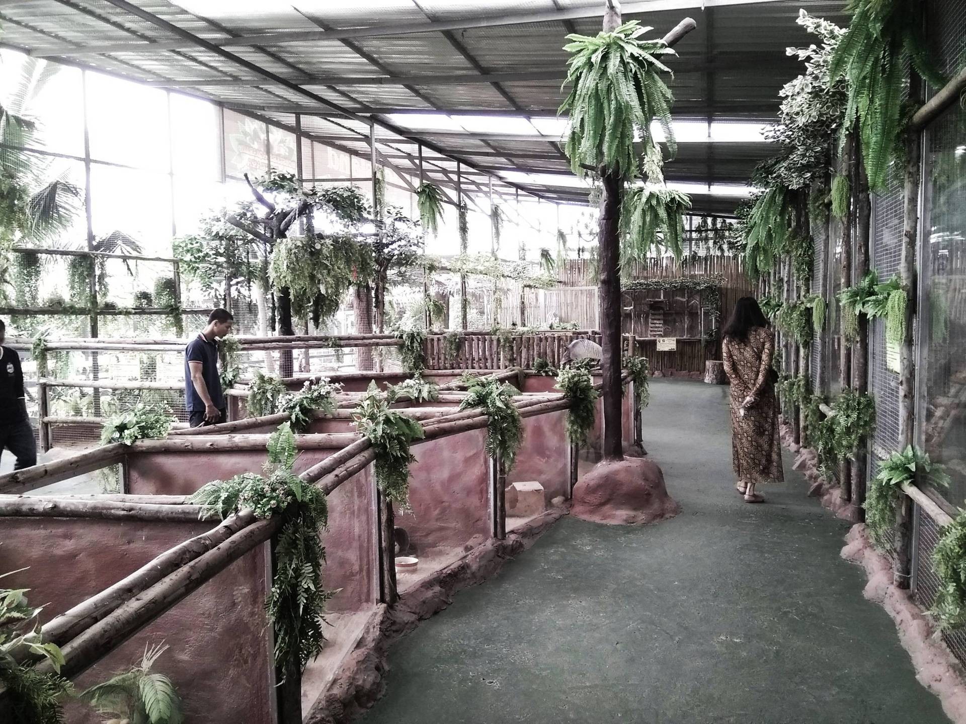 รูป Monster Aquarium