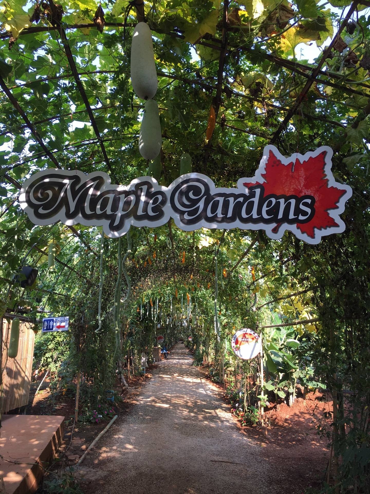 รูป Maple Gardens