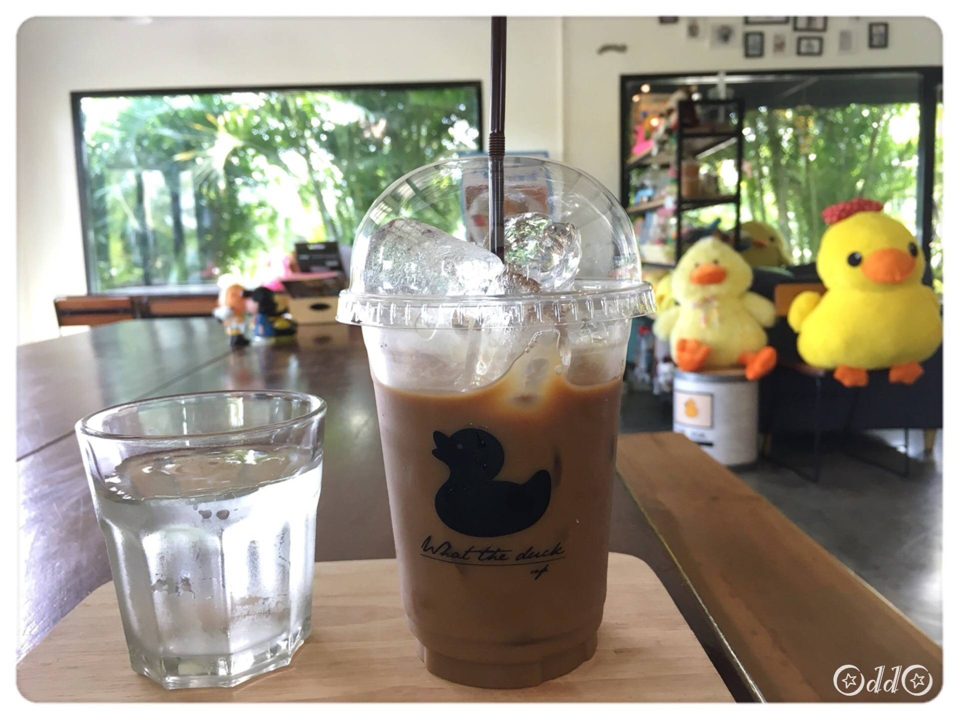 รีวิว What The Duck Cafe - แวะพักกับน้องเป็ด รอเครื่องบิน