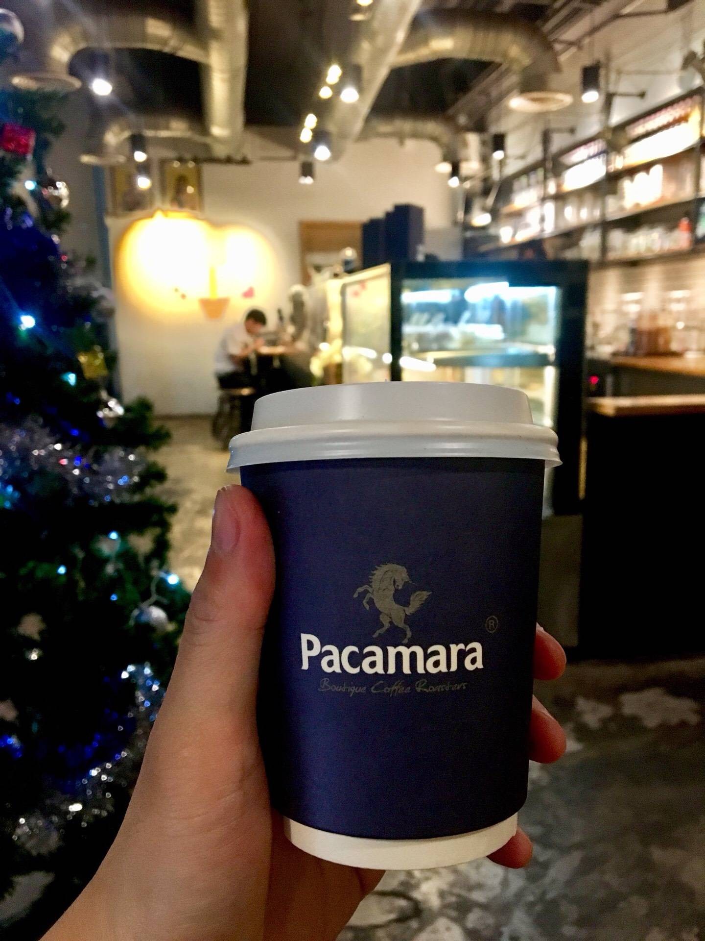 รีวิว PACAMARA หอสมุดคณะแพทยศาสตร์ จุฬาลงกรณ์มหาวิทยาลัย - ที่สิงสถิต ...