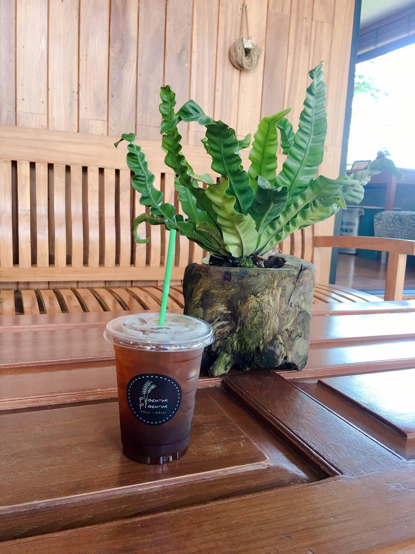 รีวิว Ploen-na Ploen-na - สบายๆ ชิวๆ ธรรมชาติ ระหว่างทางดี