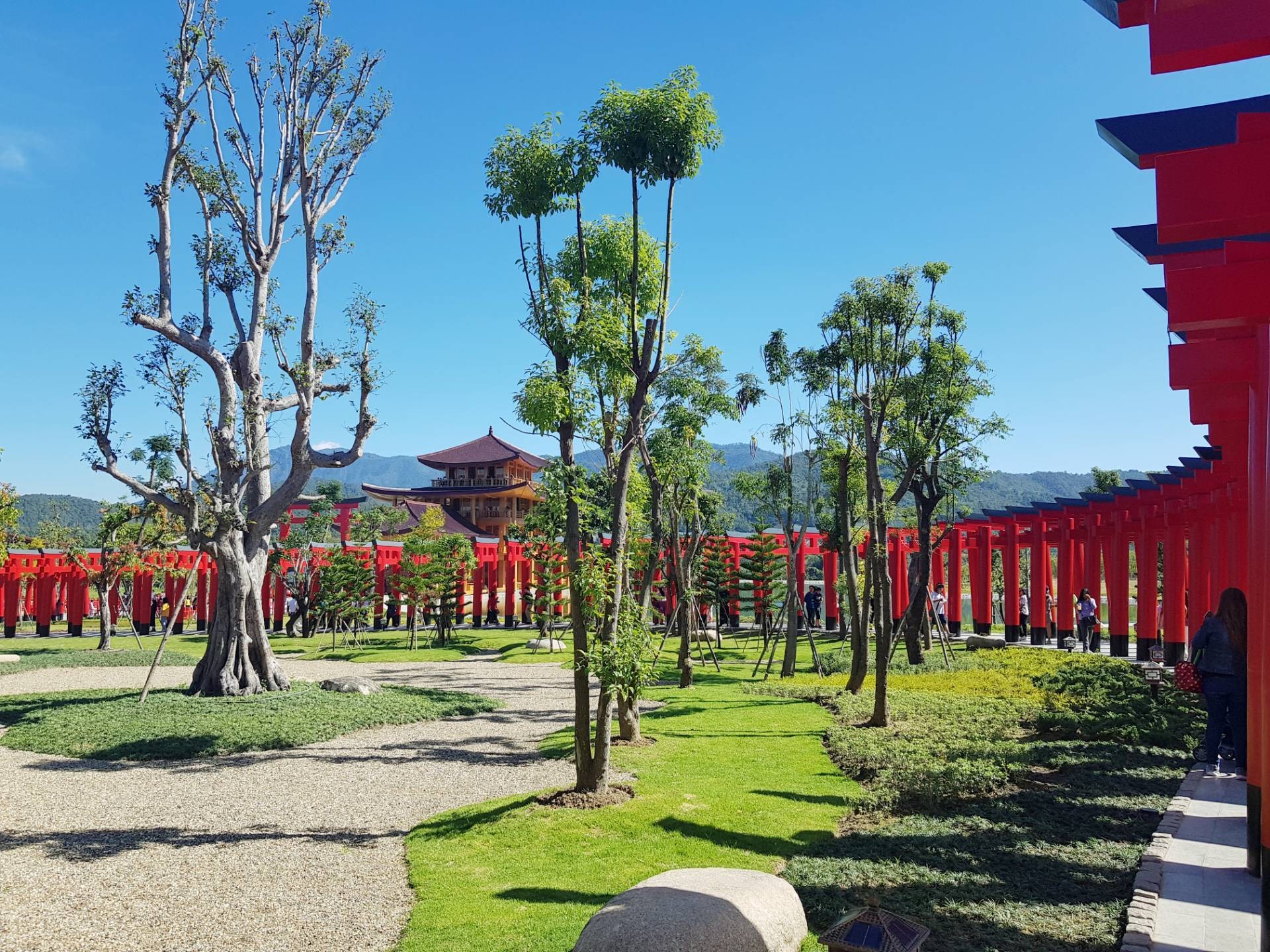 รูป Hinoki Land (ฮิโนกิแลนด์) ไชยปราการ