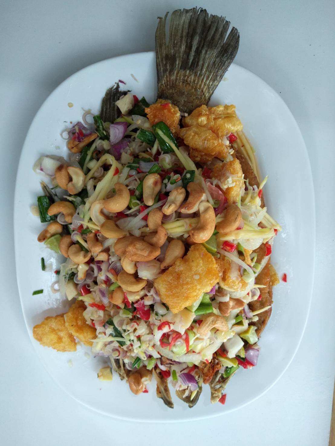 รีวิว Tanya Restaurant - เมนูใหม่เขามีแล้วนะ เคลื่อนใหว เปลี่ยนแปลงเมนู ...