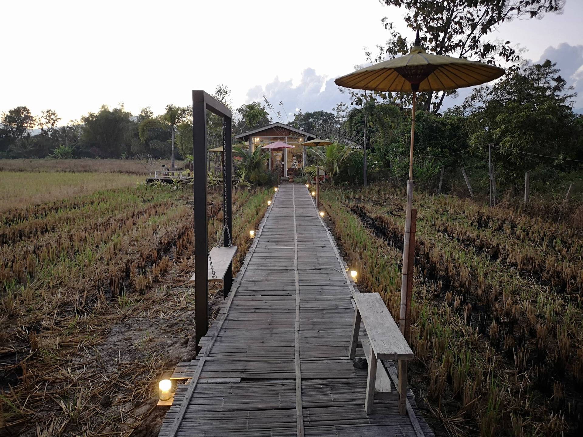 รีวิว Cupfee Or Tree - ร้านกาแฟบรรยากาศทุ่งนา เงียบสงบ ถ่ายรูปสวยแน่นอน😂😂😂