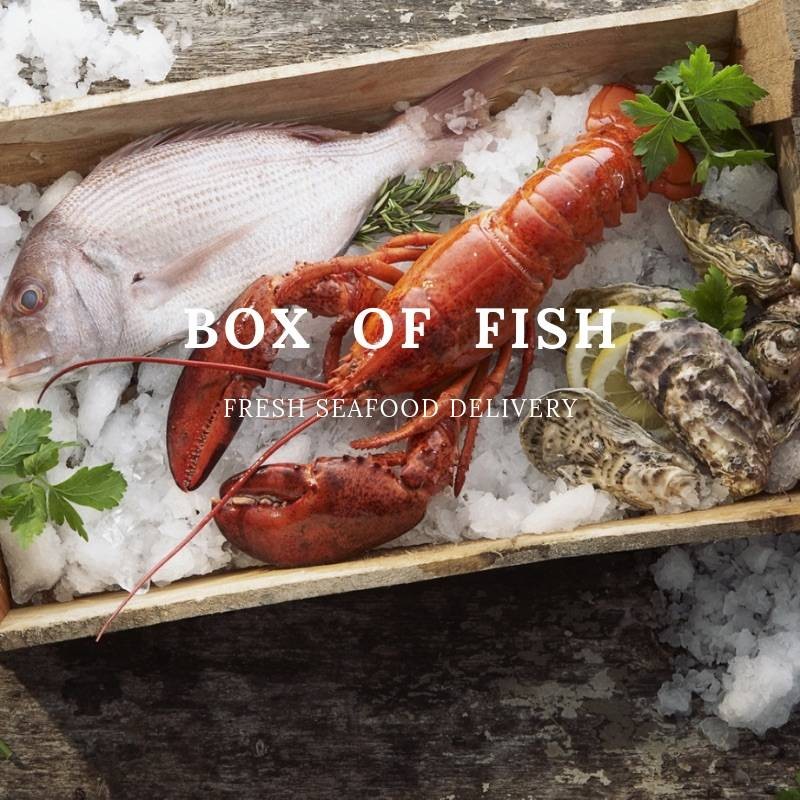 [รีวิว] ร้าน Box of Fish | เมนูแนะนำ รูปภาพ ราคา - Wongnai