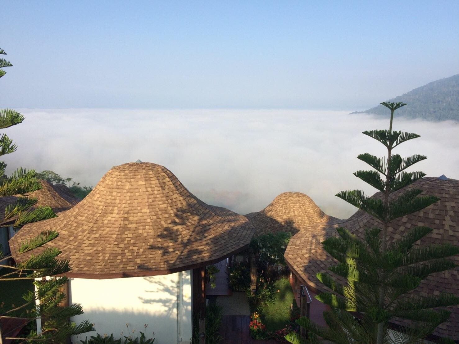 รูป At Tree Resort - Wongnai