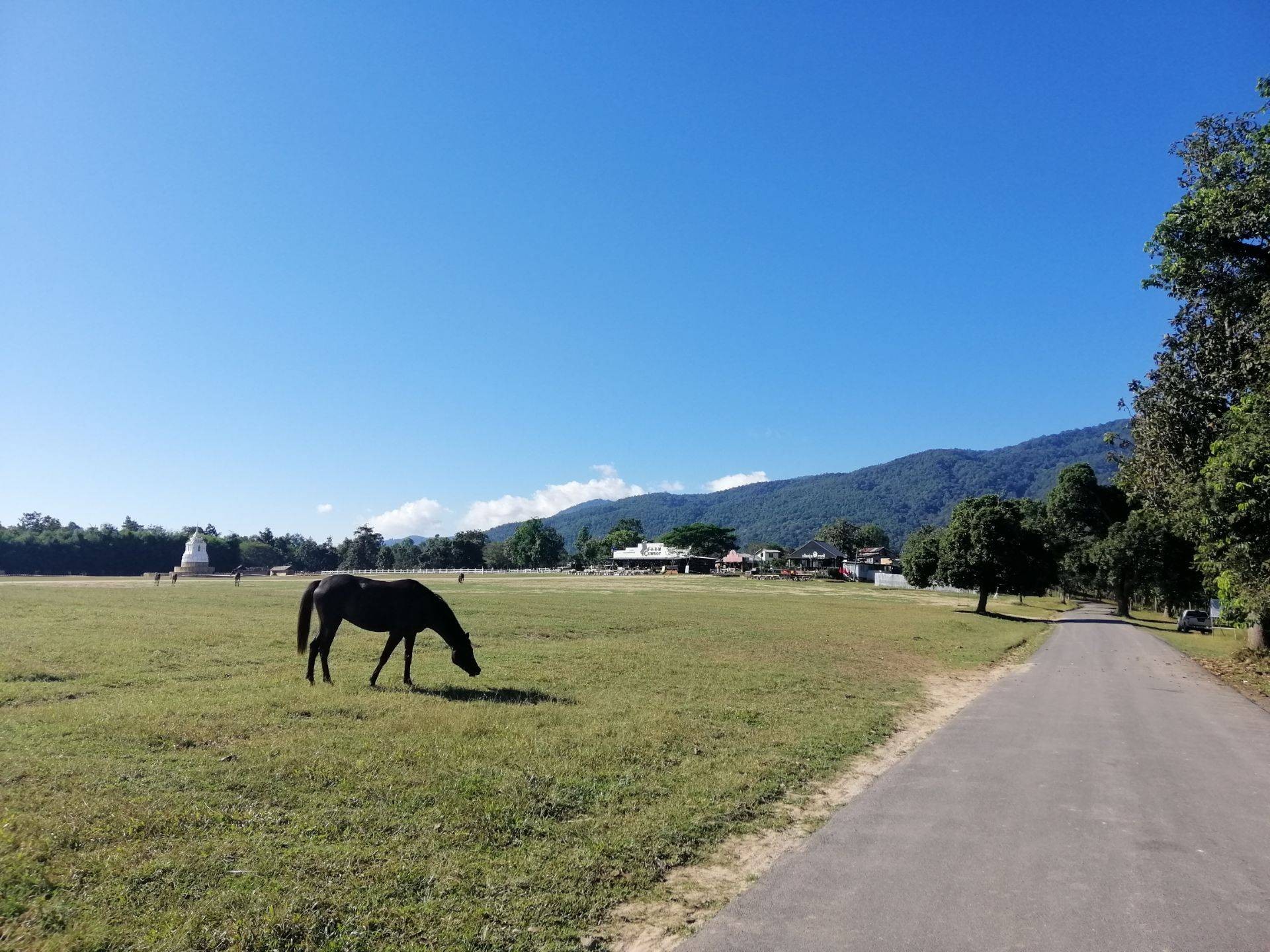 รูป Cowboy Army Riding Club