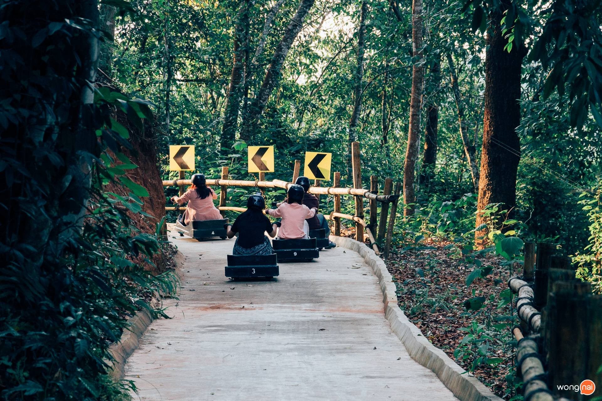 Luge Inthara Forest Hill (ลูจ อินทรา ฟอเรสต์ ฮิลล์) - รีวิวสถานที่ท่อง ...