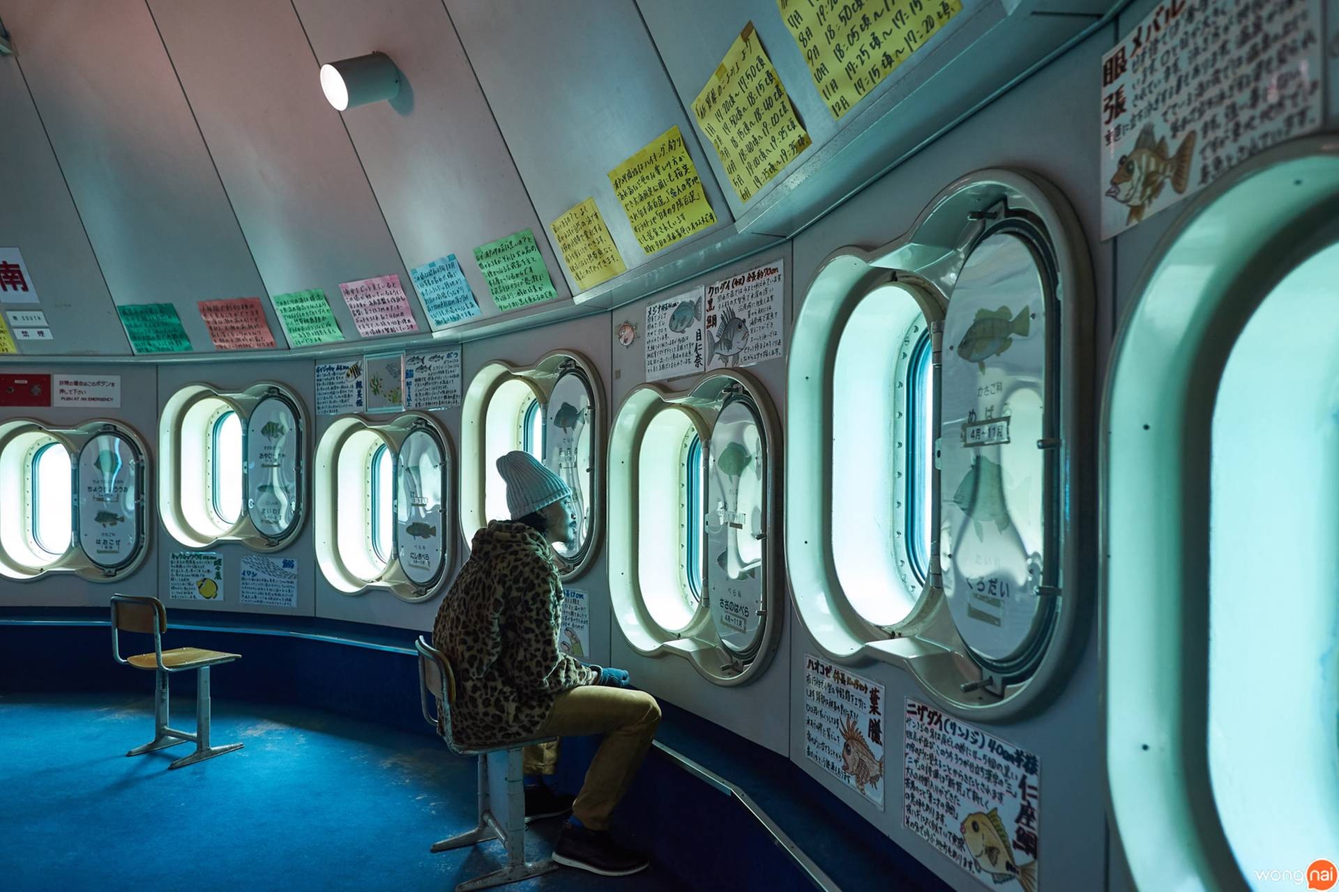 Hado Cape - รีวิวสถานที่ท่องเที่ยว - Wongnai