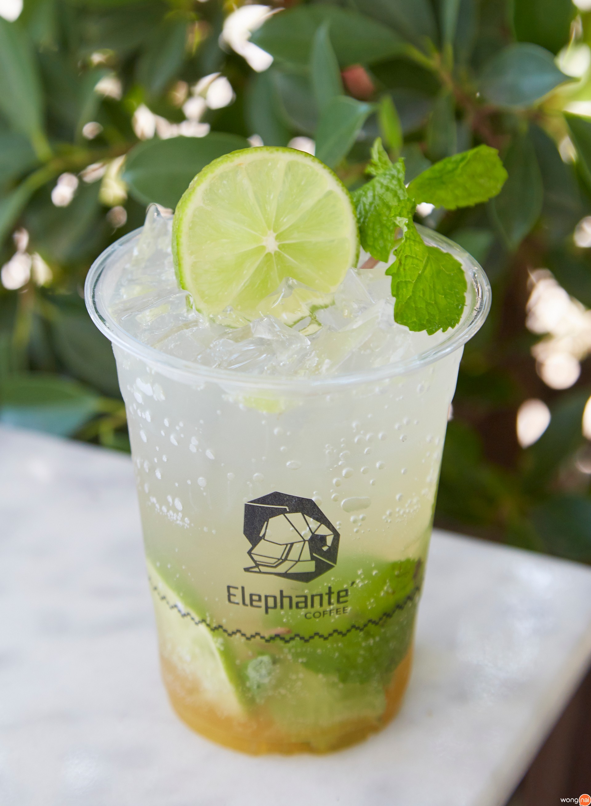 Elephante' Cafe คาเฟ่ระยอง เอาใจสายชิลล์ คอกาแฟต้องมาเช็กอิน!