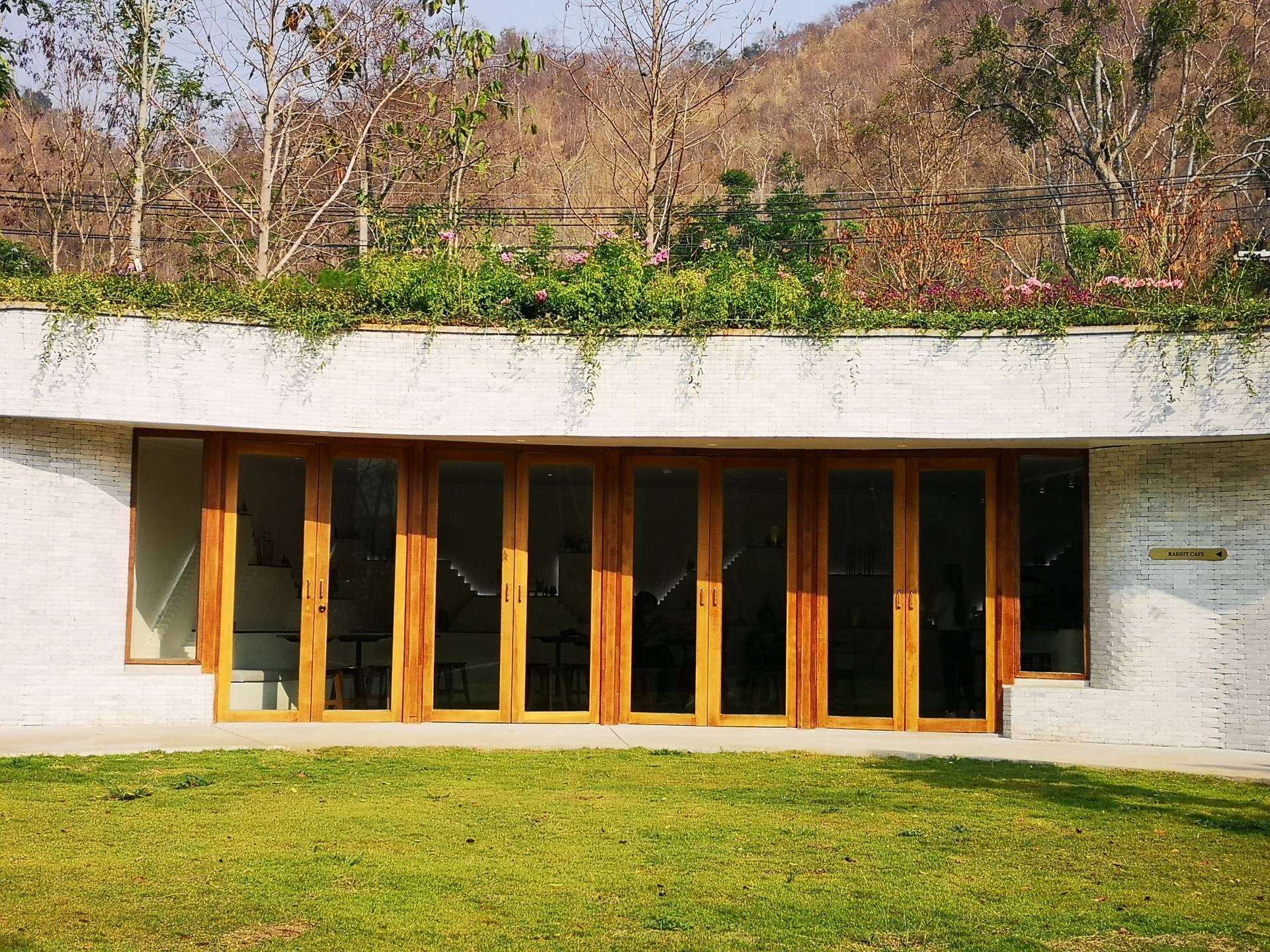 รีวิว Rabbit Cafe by Hotel Labaris - คาเฟ่เล็กๆ สวนสวย มีสตอรี่