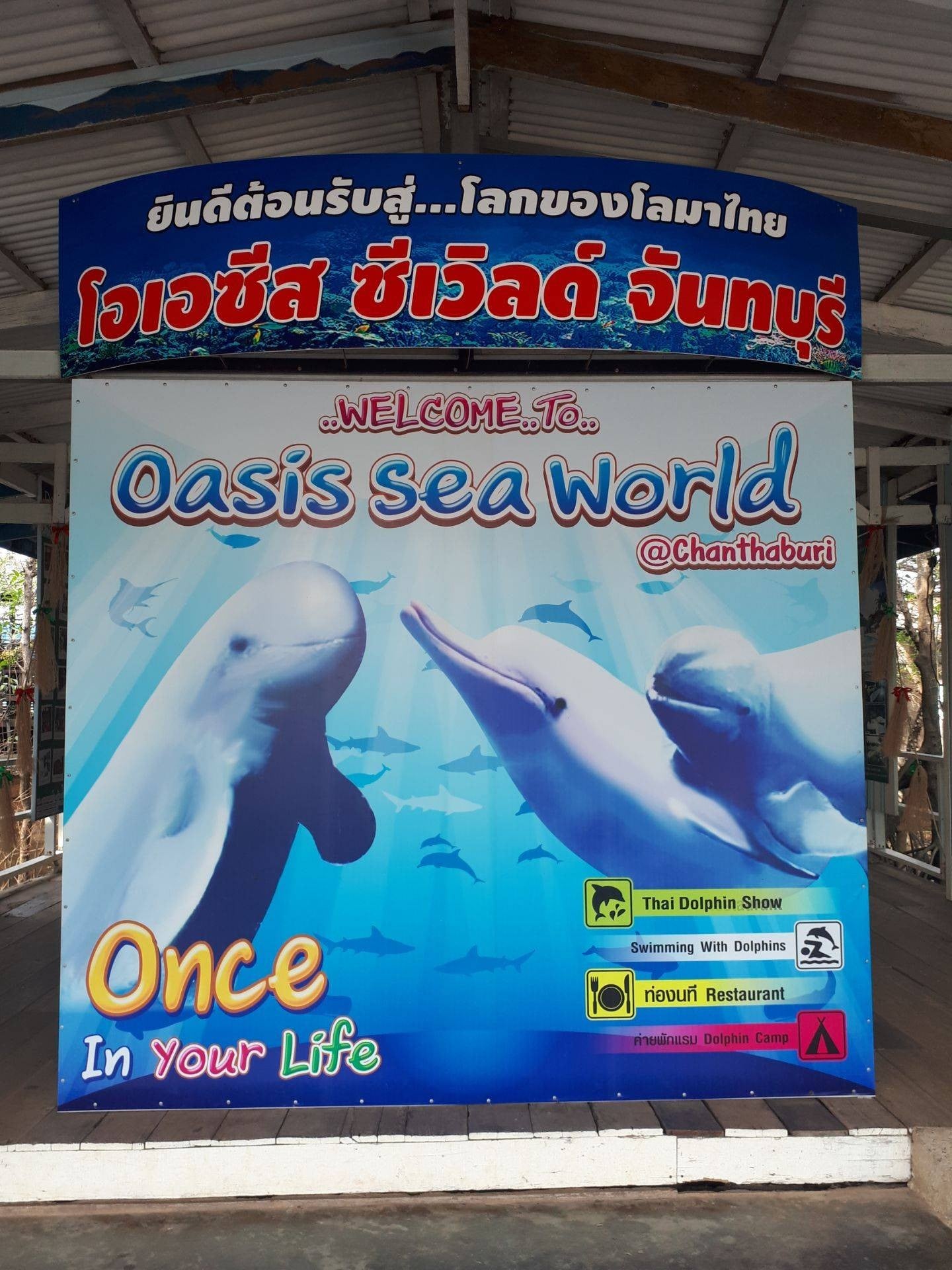 รูป Oasis Sea World