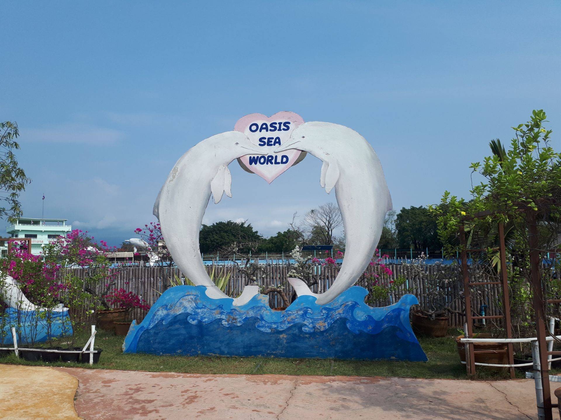 รูป Oasis Sea World