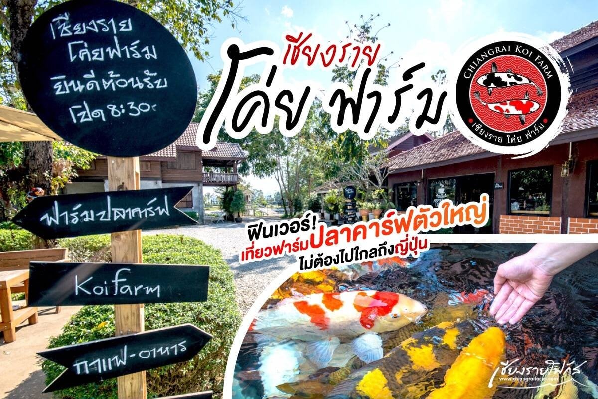 ร้าน KOIFEINE maechan | รีวิวร้านอาหาร