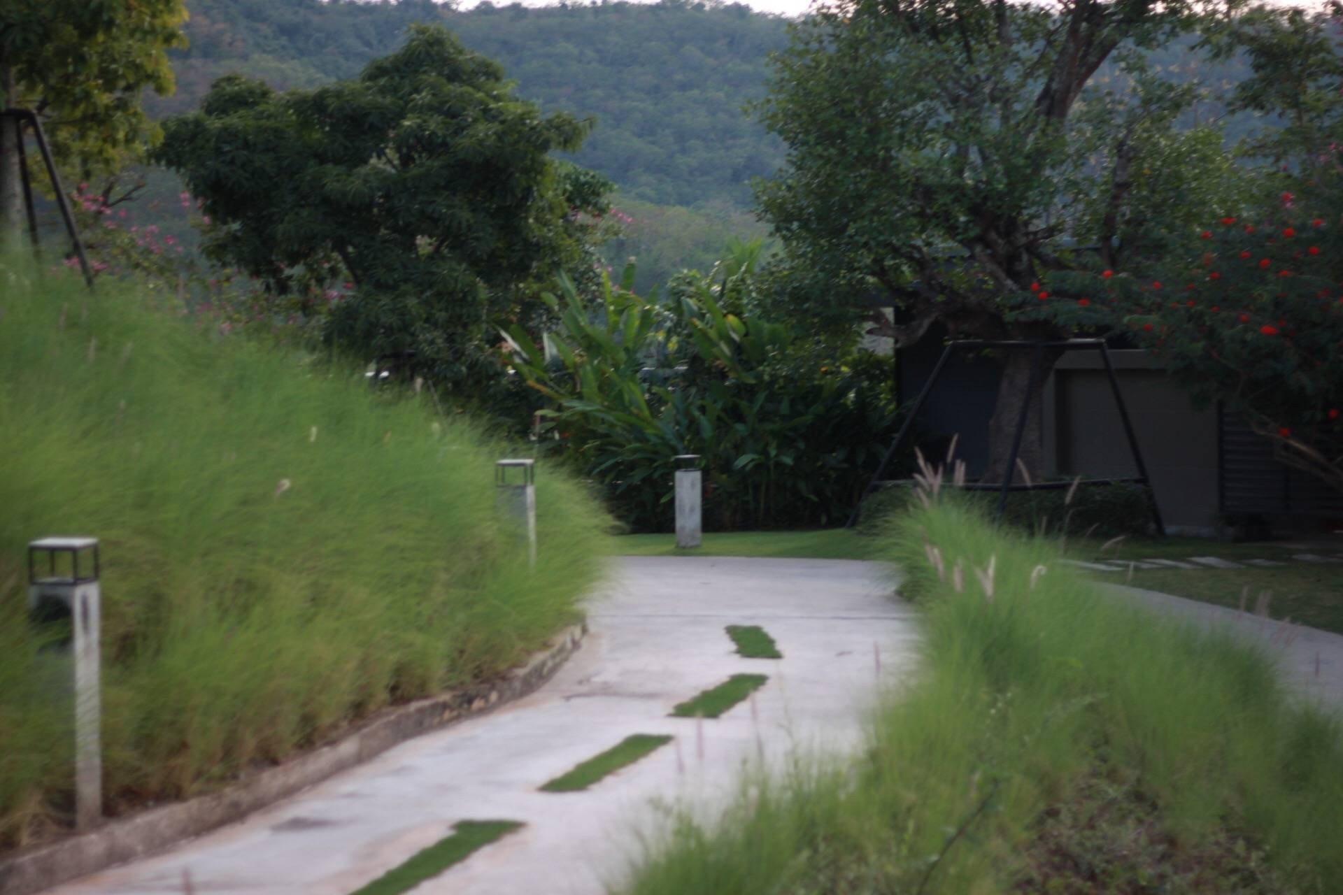 รีวิว The Paz Khao Yai - Top View location