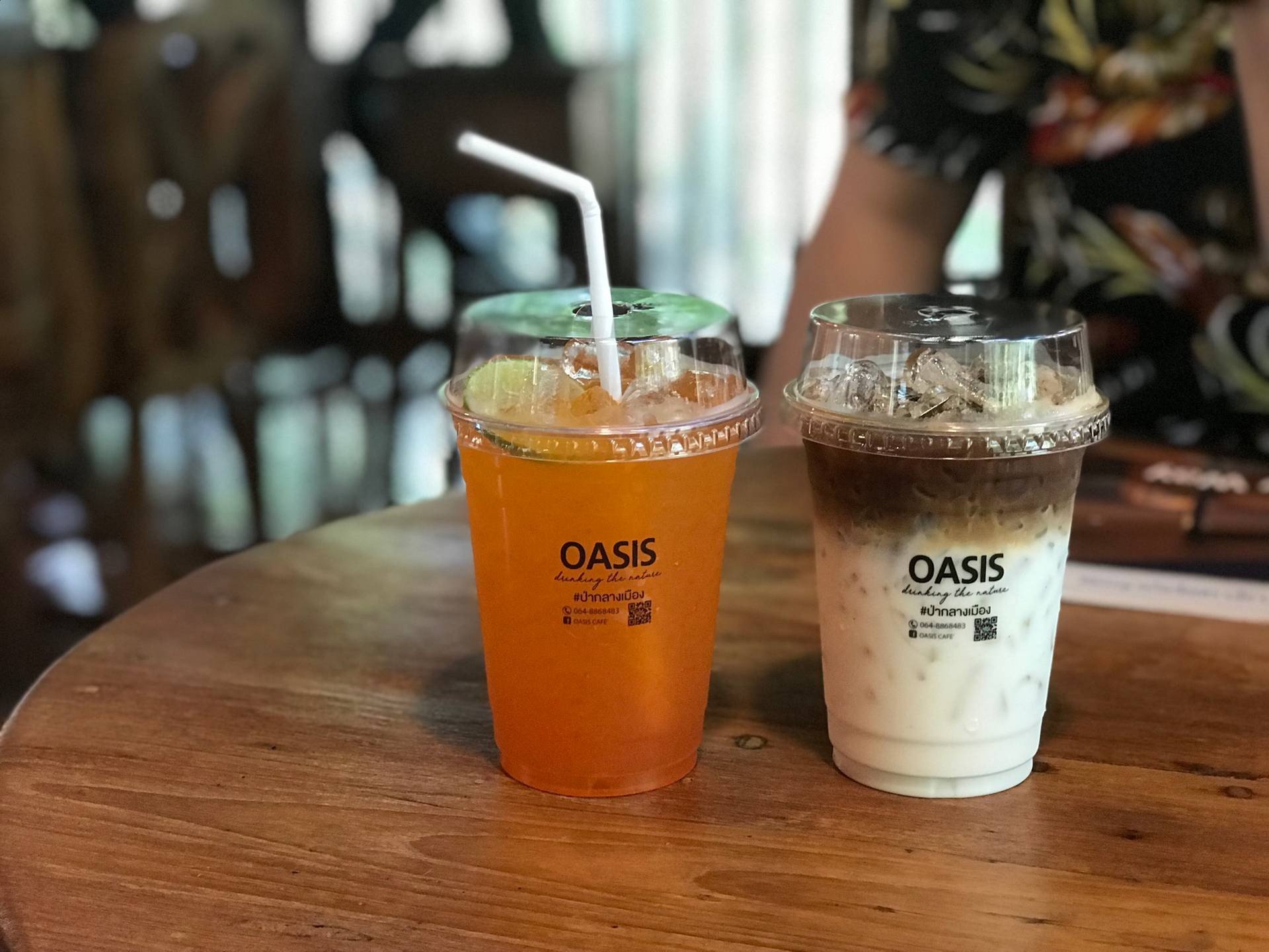 รีวิว Oasis Cafe' - คาเฟ่ที่ลึกลับ และซับซ้อน ร่มรื่นดีค่ะ