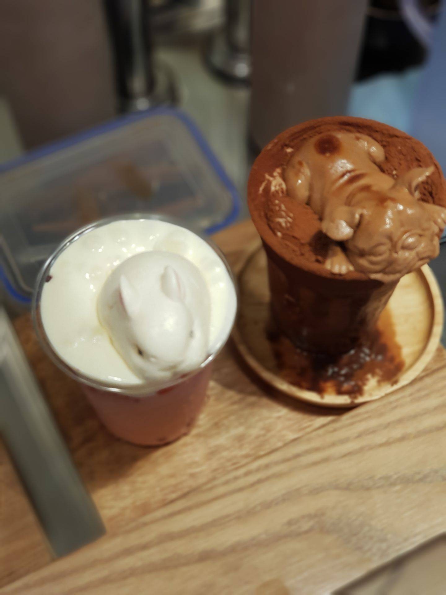 รีวิว Ditto Modern Tea centralwOrld - ตามเทรนน้องหมาและน้องกระต่าย Ditto