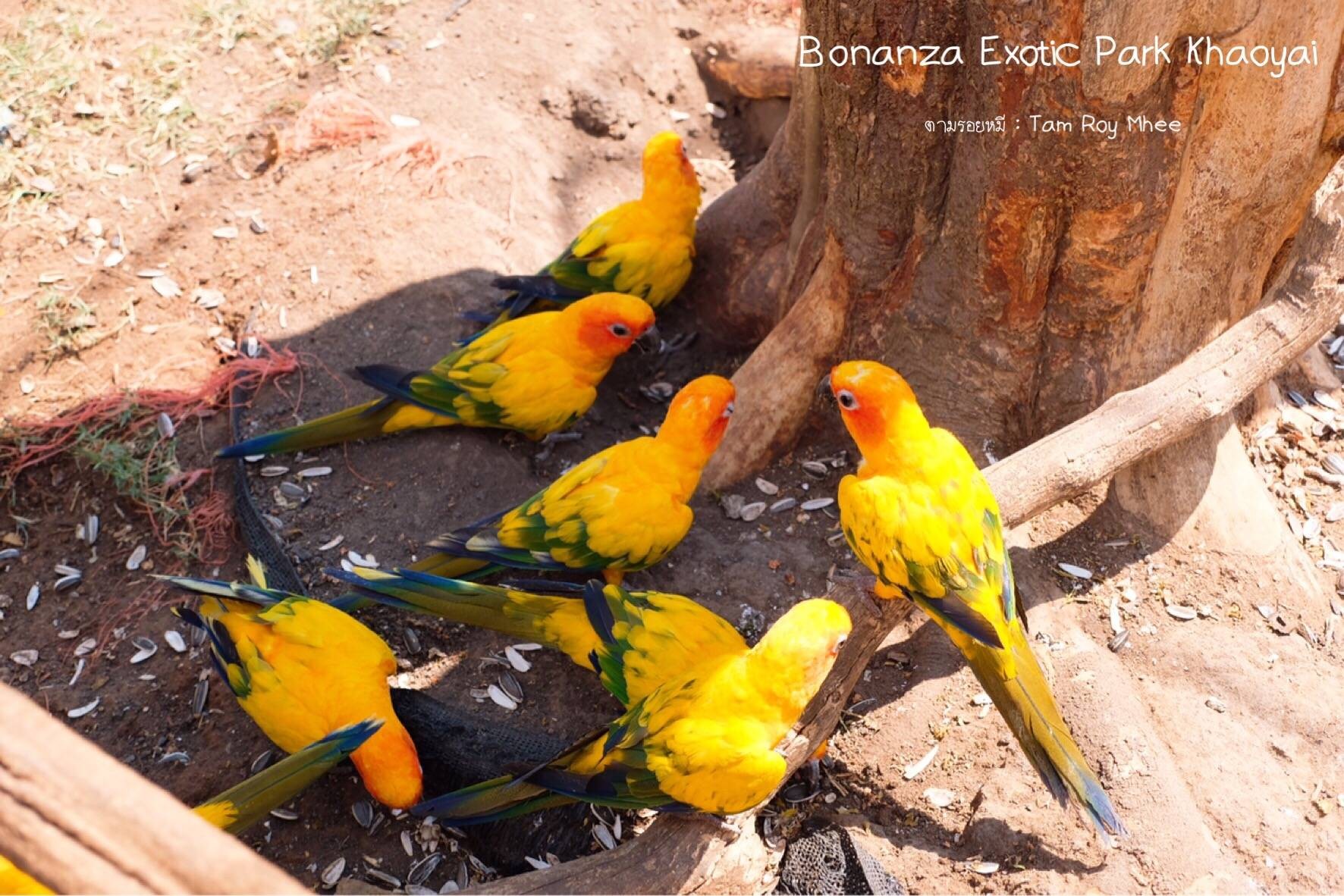 รีวิว Bonanza Exotic Zoo - สวนสัตว์ ณ เขาใหญ่